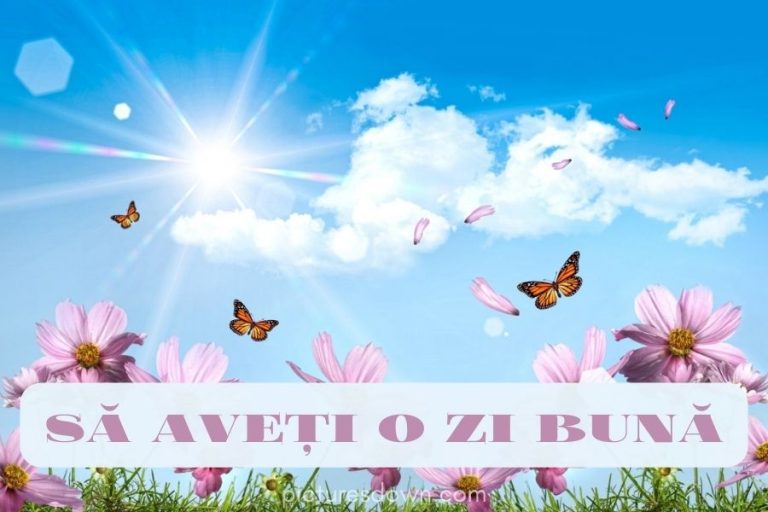 Imagine cu mesaje de o zi buna flori si fluturi descarca