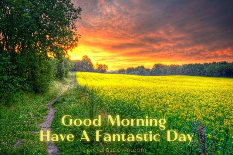 Good morning landscape images beautiful skyscraper download