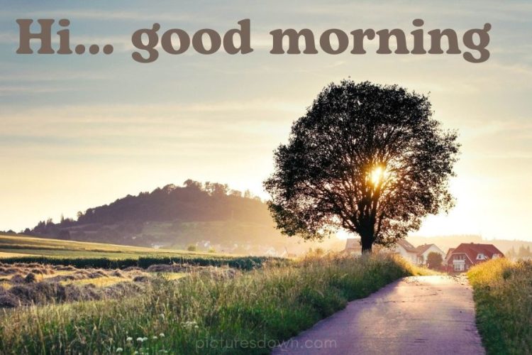 Good morning landscape images tree download free