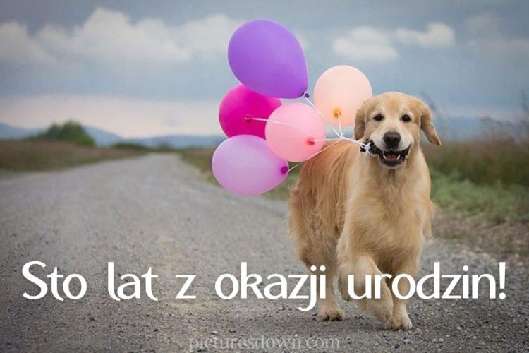 Darmowe kartki urodzinowe do pobieranie | obrazki na urodziny