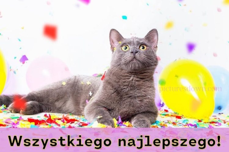 Darmowe kartki urodzinowe do pobieranie | obrazki na urodziny