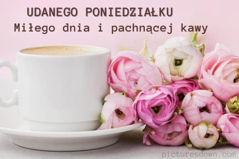 Kartka dzień dobry w poniedziałek śmieszne biuro Kartka dzień dobry w poniedziałek śmieszne biuro