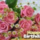 Happy birthday blumen bild Rosen und Blütenblätter kostenlos