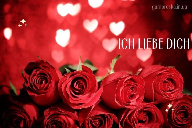 Bilder und Fotos kostenloser Download - Picturesdown