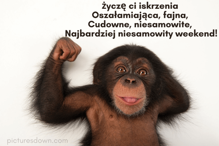 Miłego weekendu obrazki oraz kartki za darmo