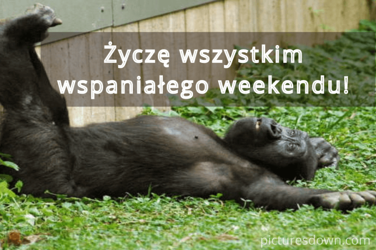 Miłego weekendu obrazki oraz kartki za darmo