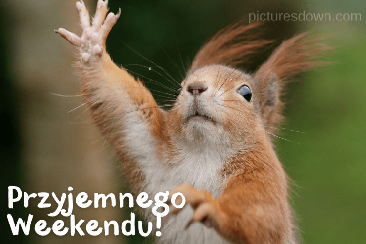 Miłego weekendu obrazki oraz kartki za darmo