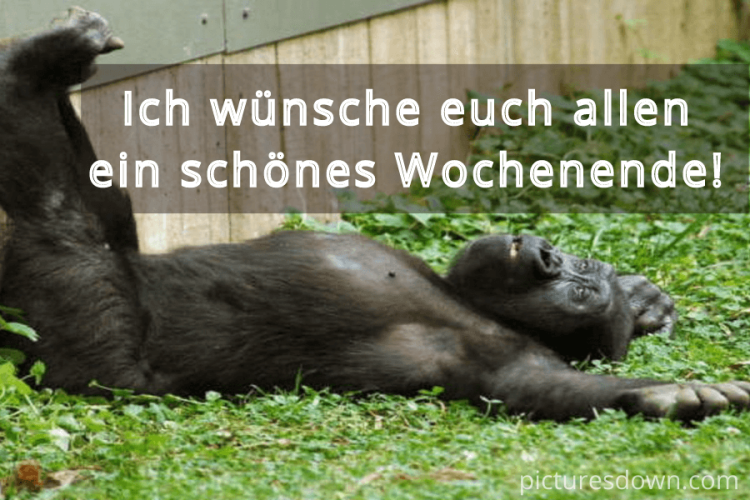Schönes wochenende bilder kostenlos - picturesdown.com