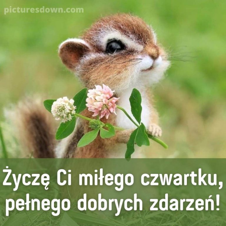 Dzień dobry w czwartek, kartki na miły czwartek z napisami