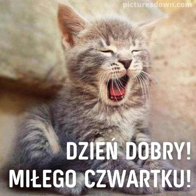 Dzień dobry w czwartek, kartki na miły czwartek z napisami