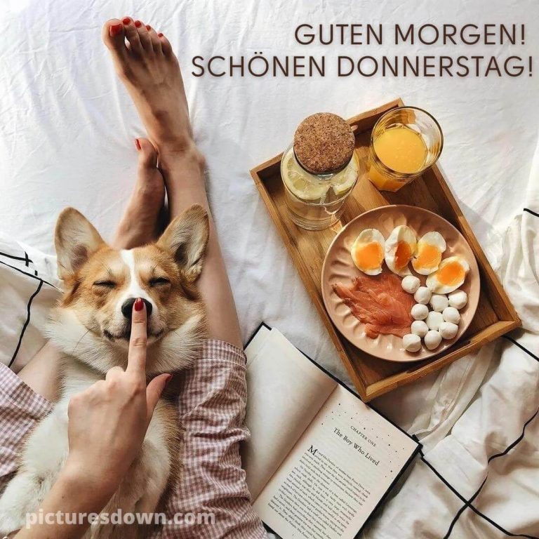 Guten morgen donnerstag bilder - schönen donnerstag sprüche