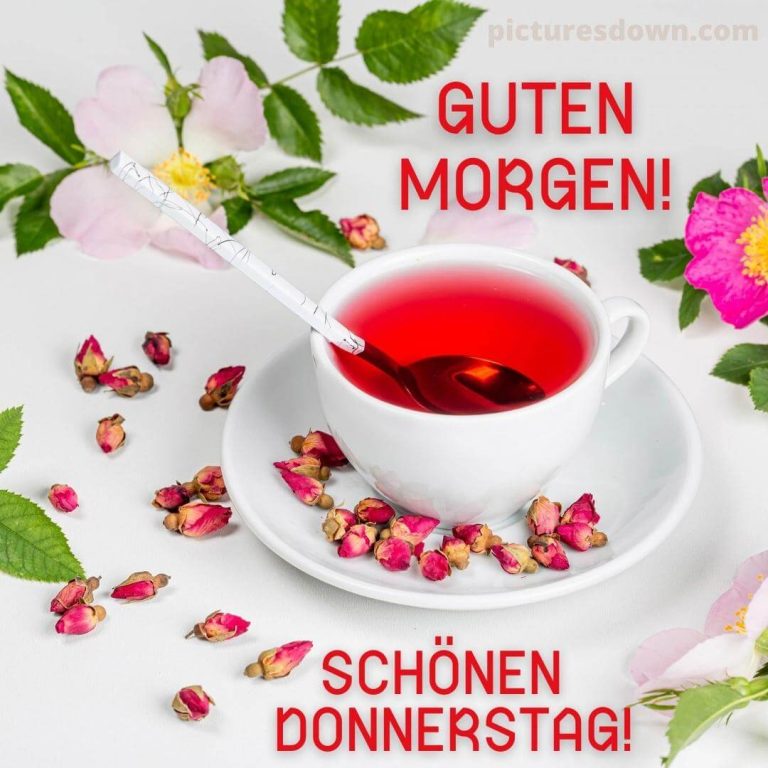 Spannende Guten Morgen Schönen Donnerstag Bilder Kostenlos Bilder