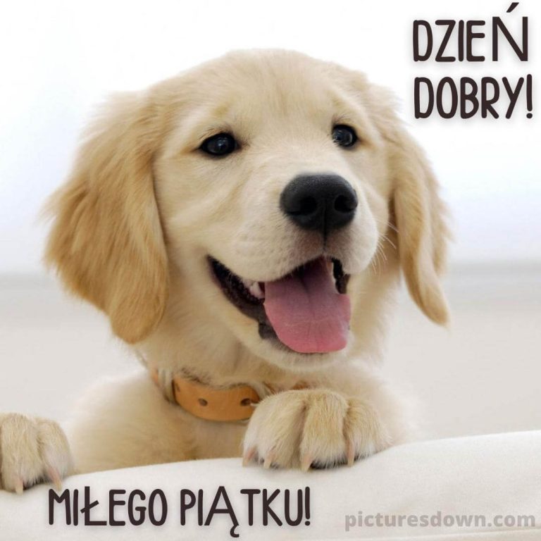 Dzień dobry w piątek, kartki na piątek oraz obrazki na piątek