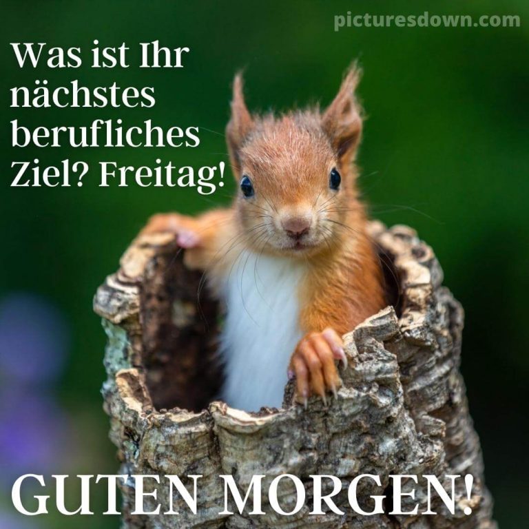Schone Endlich Freitag Lustig Bild