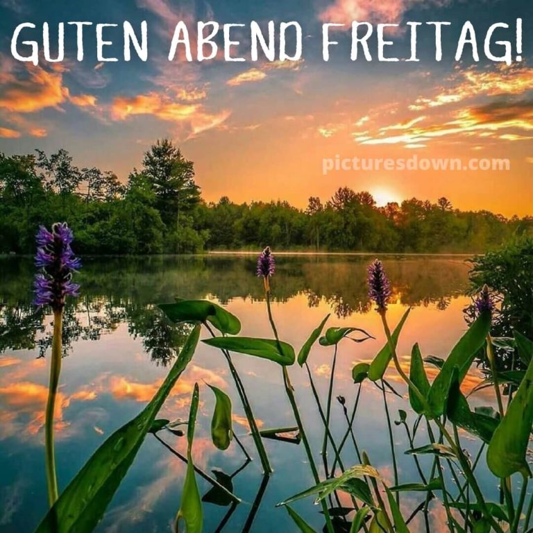 Schonen Freitag Abend Bilder Kostenlos