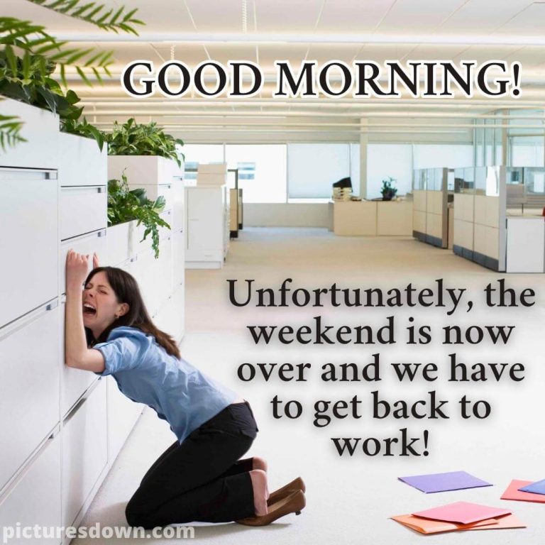 Good morning monday funny picture first day of the week free