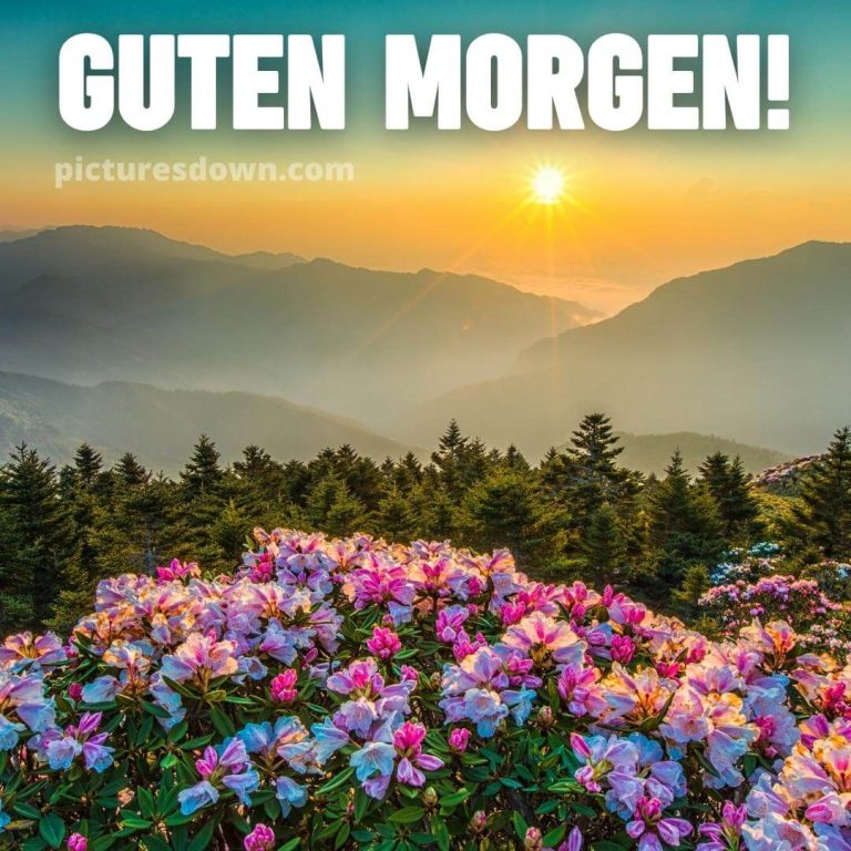 Elegantes Blumiger Guten Morgen Gruãƒæãâ Bild