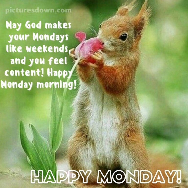 Happy monday image mouse free download - picturesdown.com