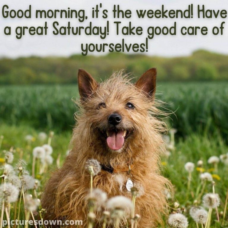 Good morning saturday images and pictures free download