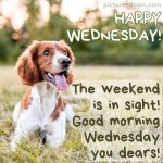 Good wednesday morning picture big dog - picturesdown.com