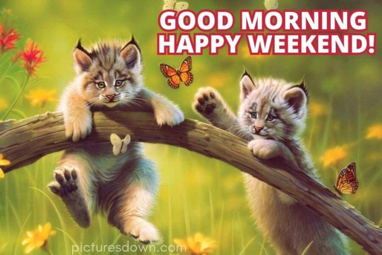 Have a great weekend images and happy weekend images free