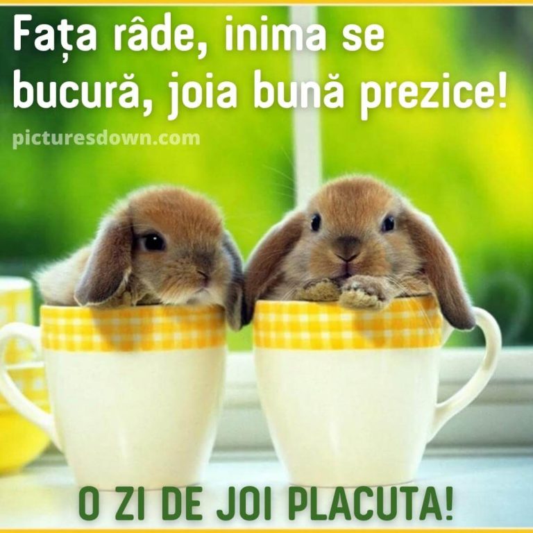 Buna dimineata joi imagini și poze - picturesdown.com