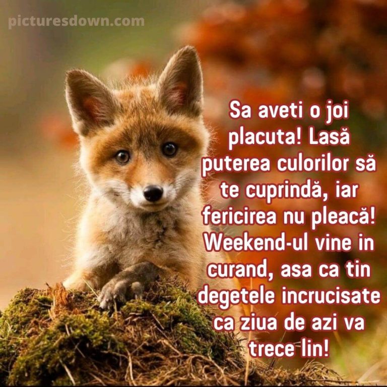 Buna dimineata joi imagini și poze - picturesdown.com