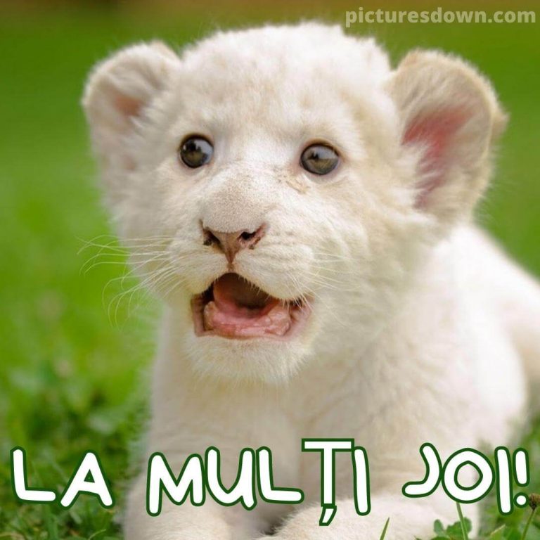 Buna dimineata joi imagini și poze - picturesdown.com