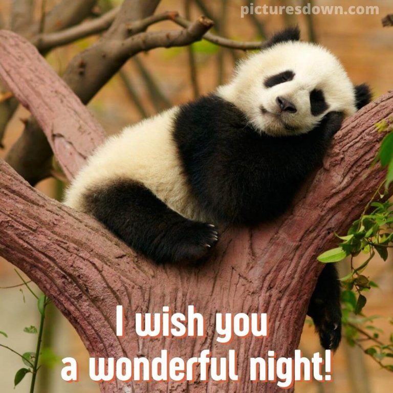 Good night images and good night picture - picturesdown.com