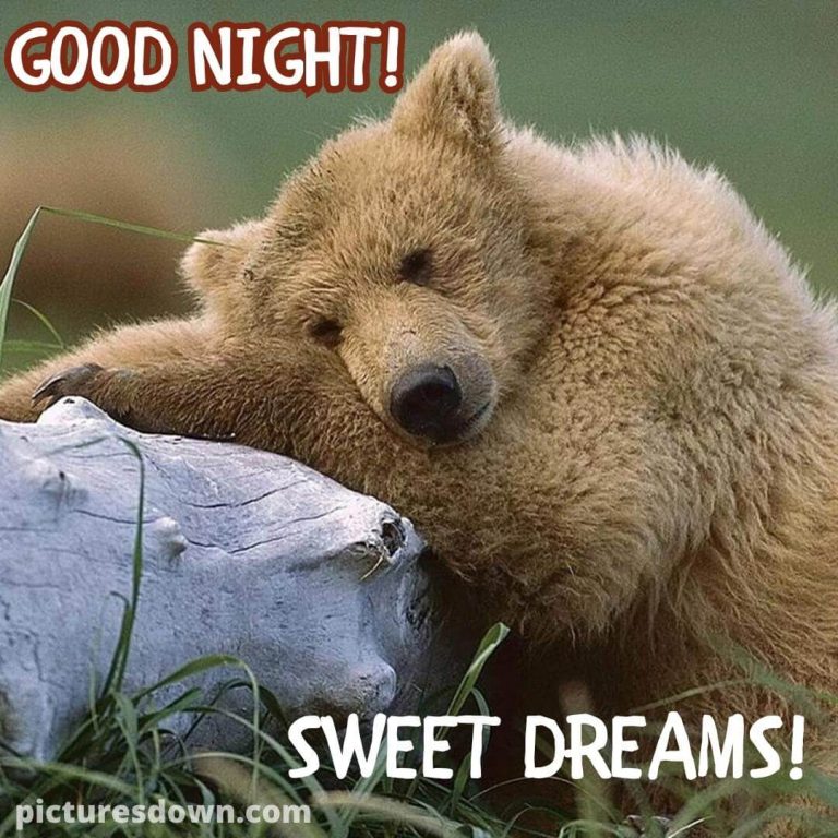 Good night images and good night picture - picturesdown.com