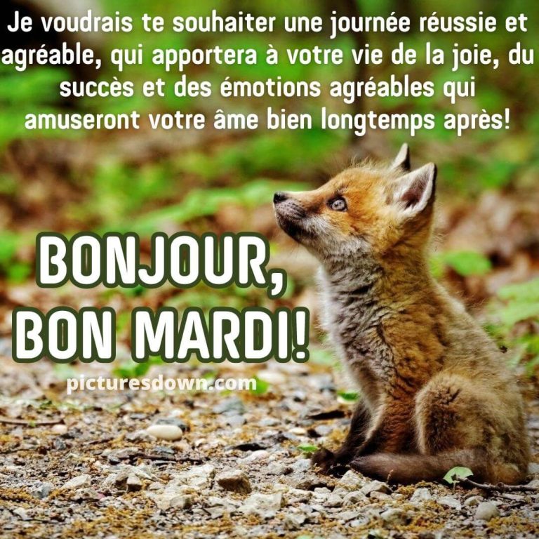Bonjour mardi images et bon mardi gratuites - picturesdown.com