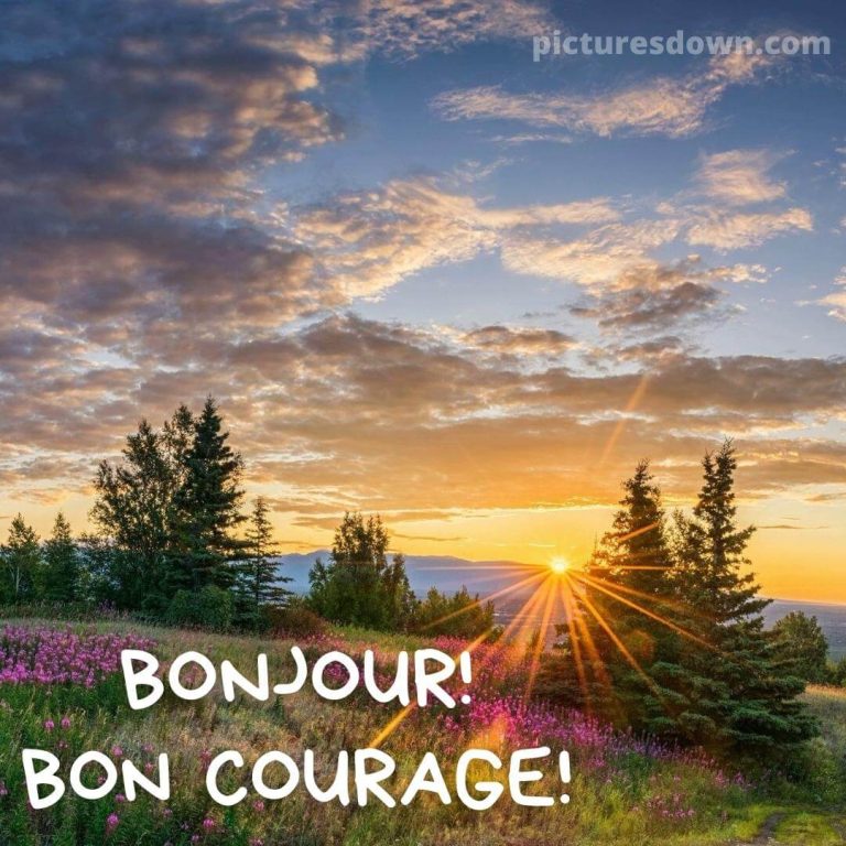 Image bonjour humour téléchargement gratuit - Picturesdown