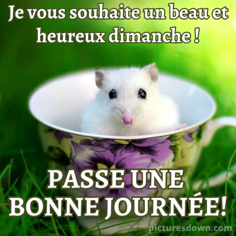 Bon dimanche images et bonjour dimanche gratuites