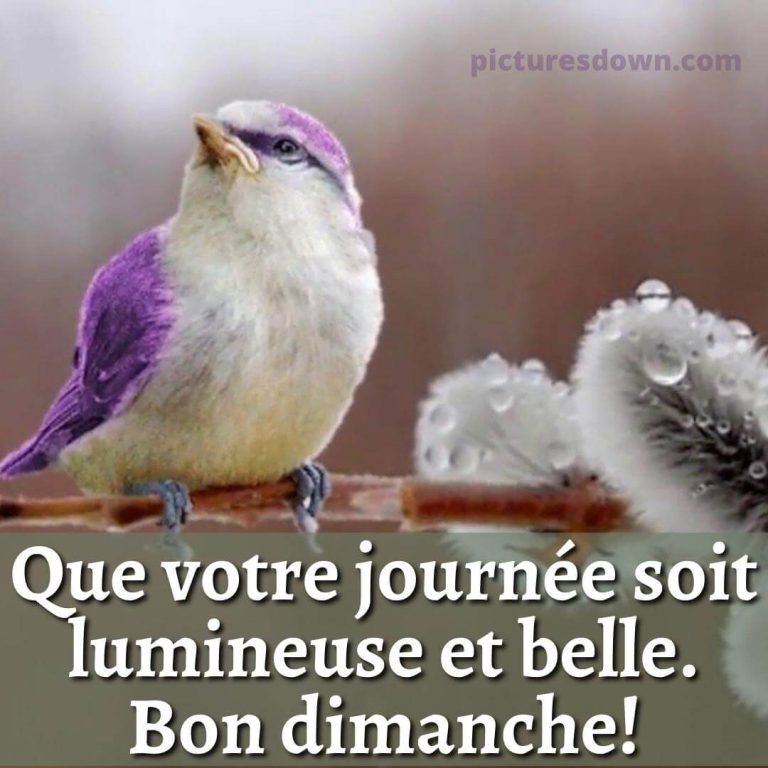 Bon dimanche images et bonjour dimanche gratuites