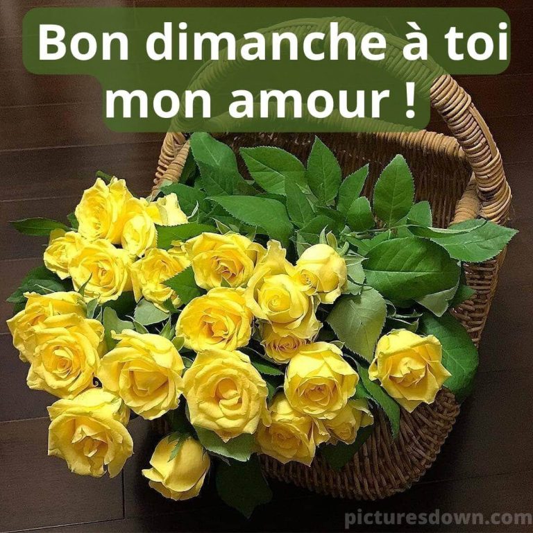 Bon dimanche images et bonjour dimanche gratuites