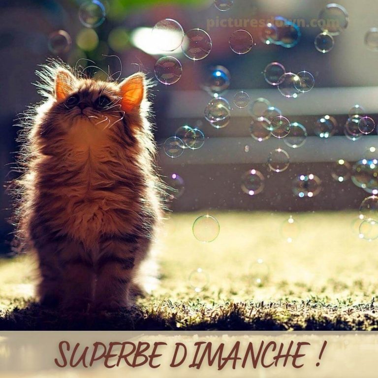 Bon dimanche images et bonjour dimanche gratuites