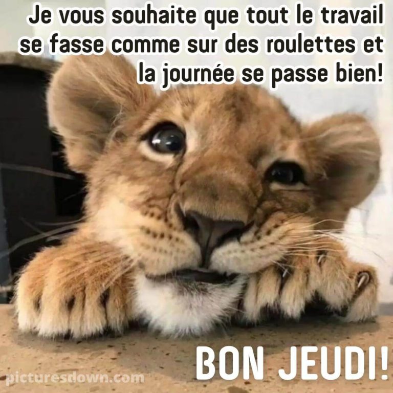 Bonne journée de jeudi photos et bon jeudi images gratuites