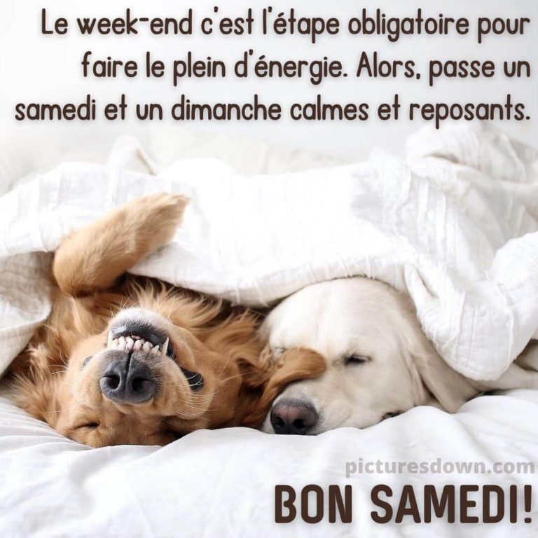 Bonjour samedi photos et bon samedi images gratuites