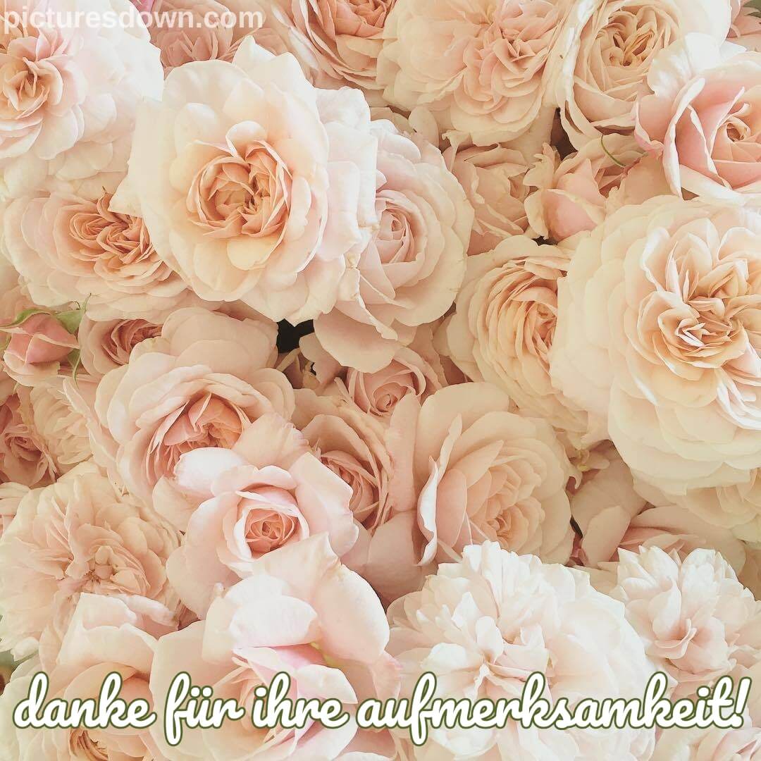 Danke F r Eure Aufmerksamkeit Bilder Kostenlos Danke F r Eure Aufmerksamkeit Bilder Kostenlos