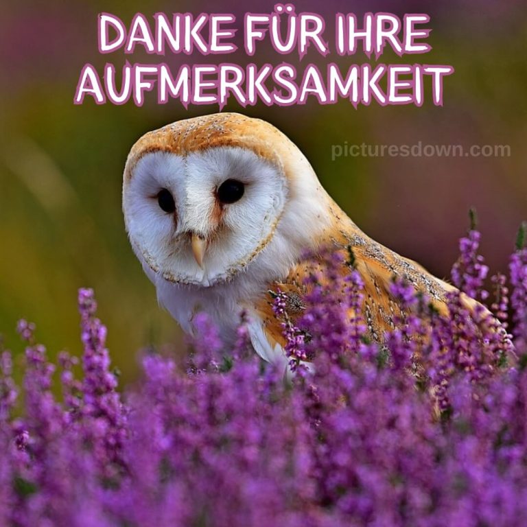 Danke für eure aufmerksamkeit bilder kostenlos