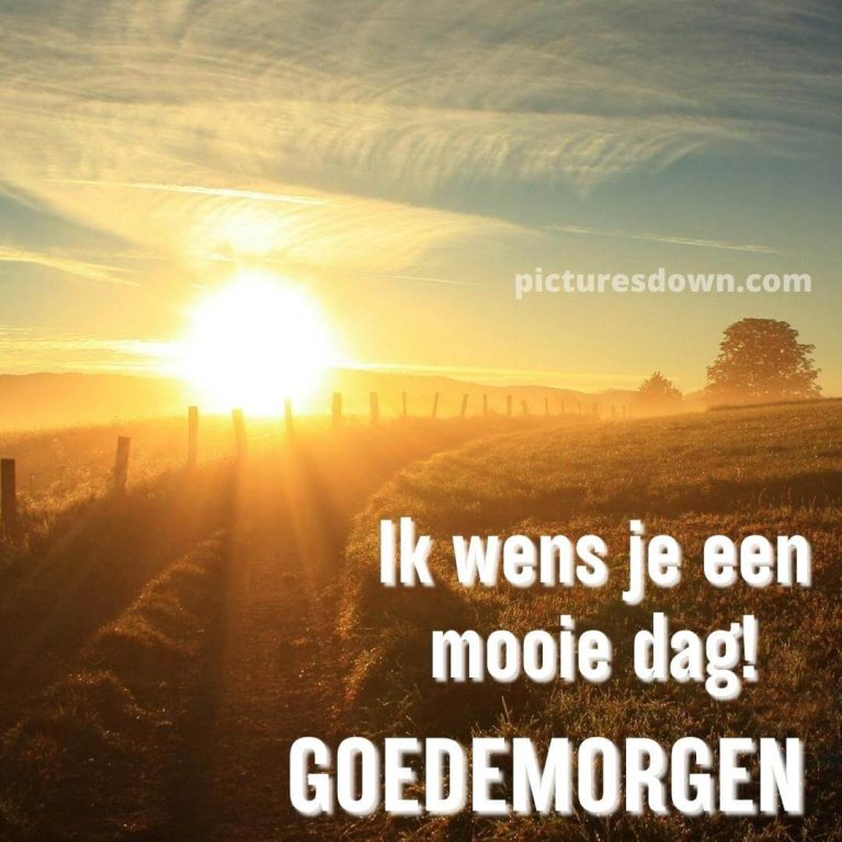 Gratis afbeeldingen goedemorgen - picturesdown.com/nl/