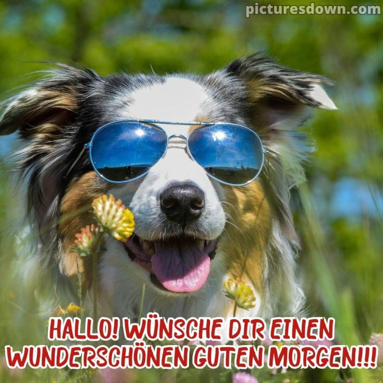 Hallo bilder kostenlos - picturesdown.com