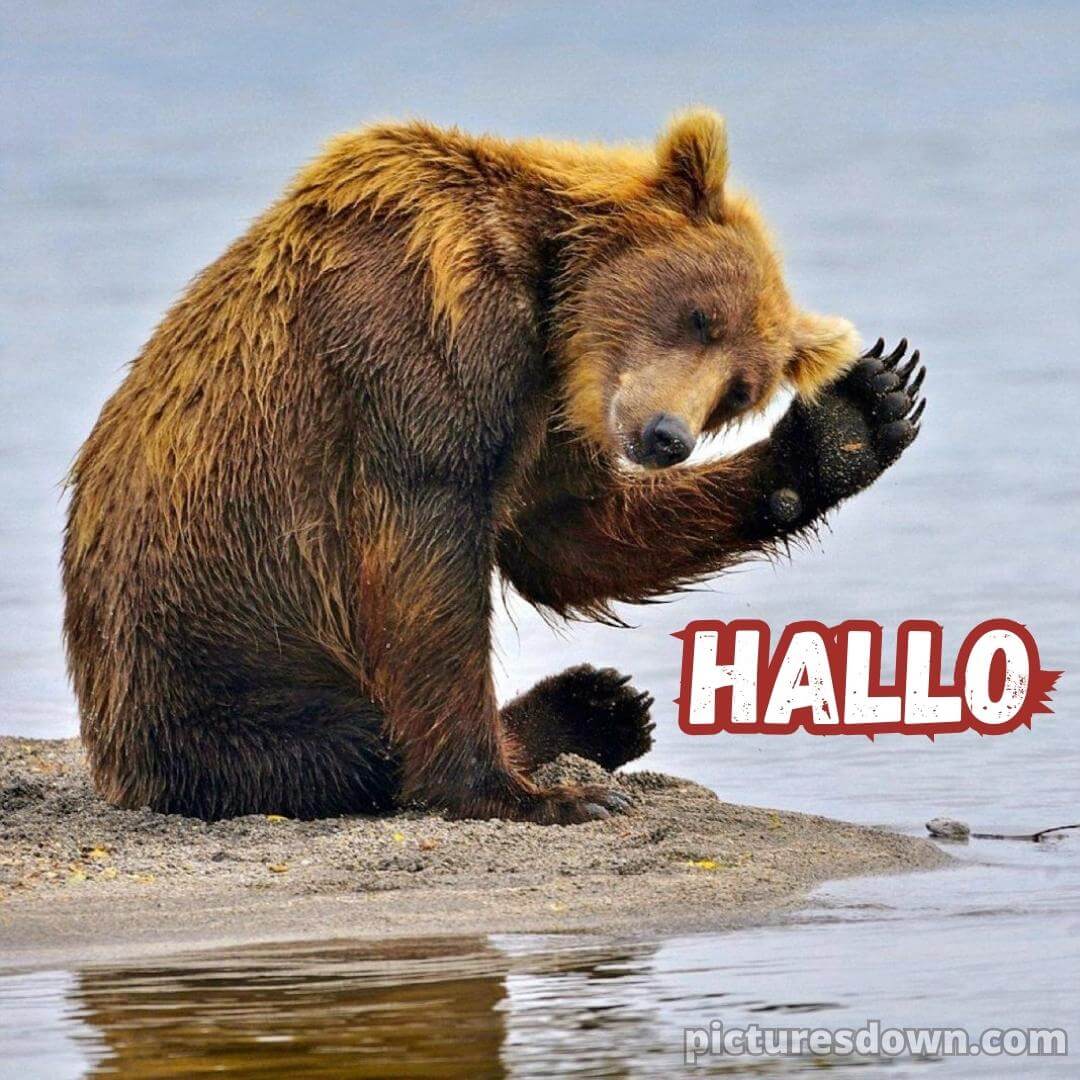 Hallo Bilder Kostenlos Picturesdown Hallo Bilder Kostenlos Picturesdown