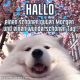 Hallo bilder kostenlos - picturesdown.com