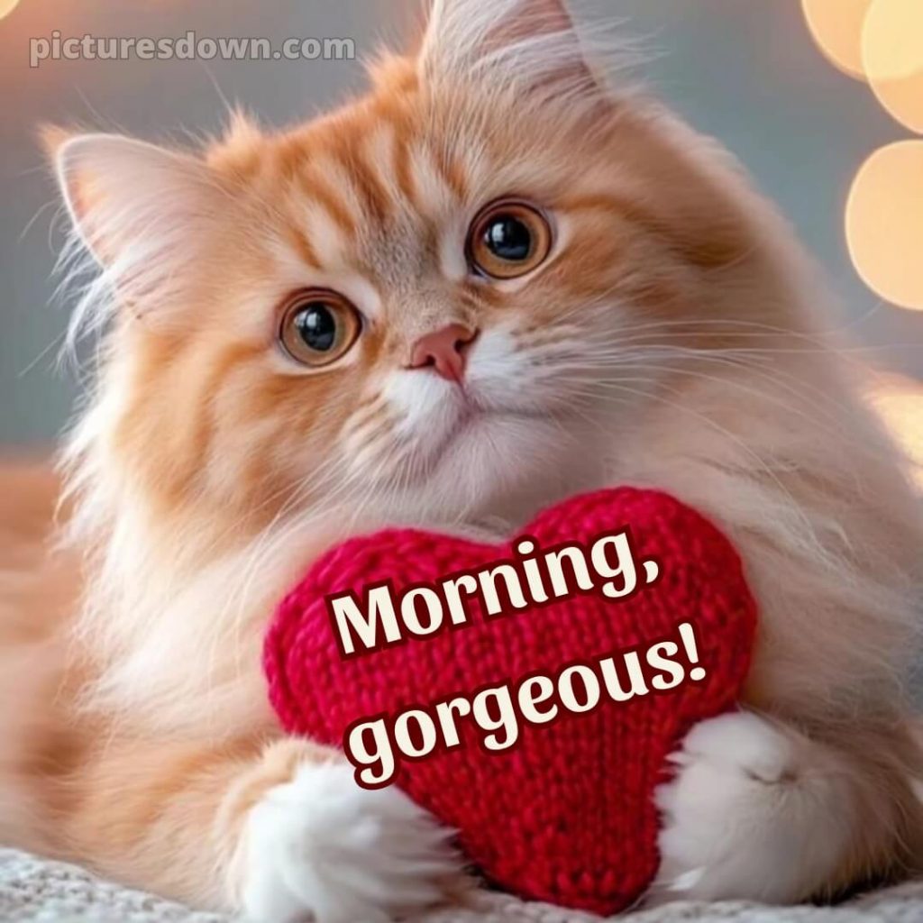 Romantic good morning love messages for girlfriend 1 - picturesdown.com
